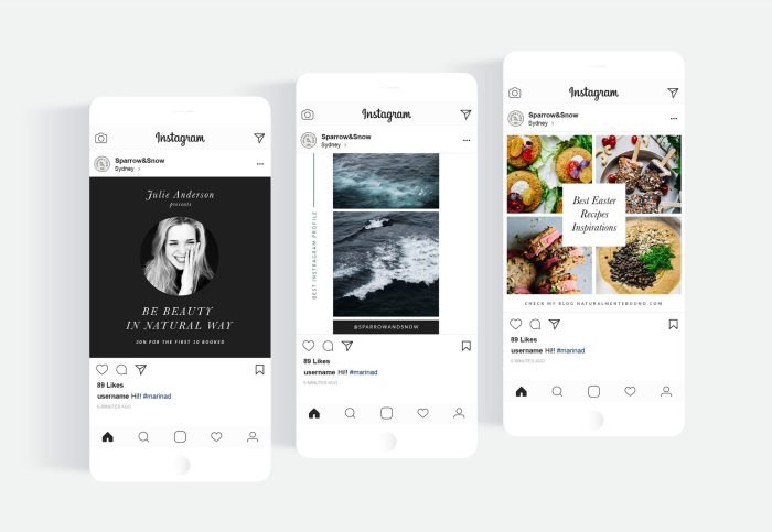 Animated Instagram Social Media Kit - Sparrow and Snow