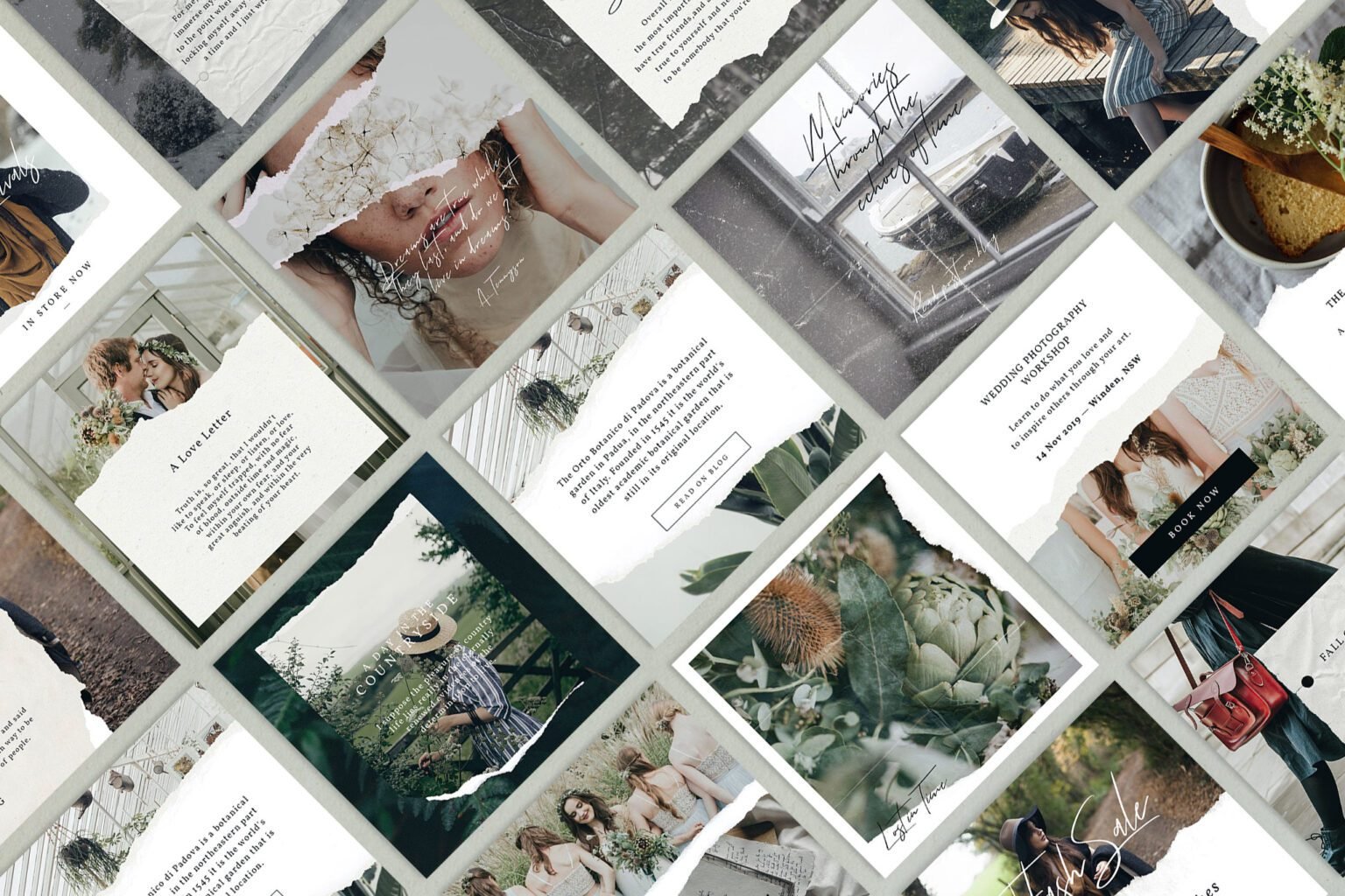 Paper Animated Social Media Kit - Sparrow and Snow