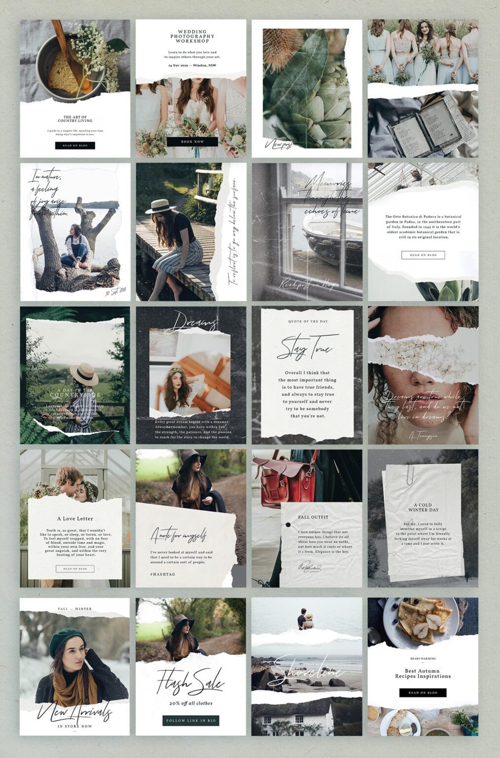 Paper Animated Social Media Kit - Sparrow and Snow
