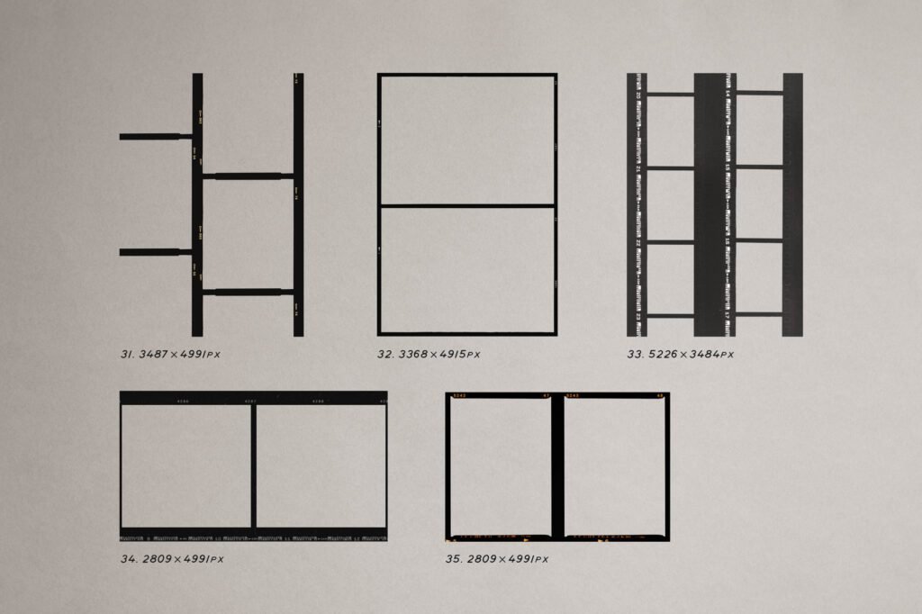 Analog Film Frames Elements - Sparrow and Snow