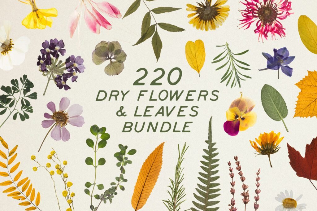 Bundle Dry Flowers & Leaves - Sparrow and Snow