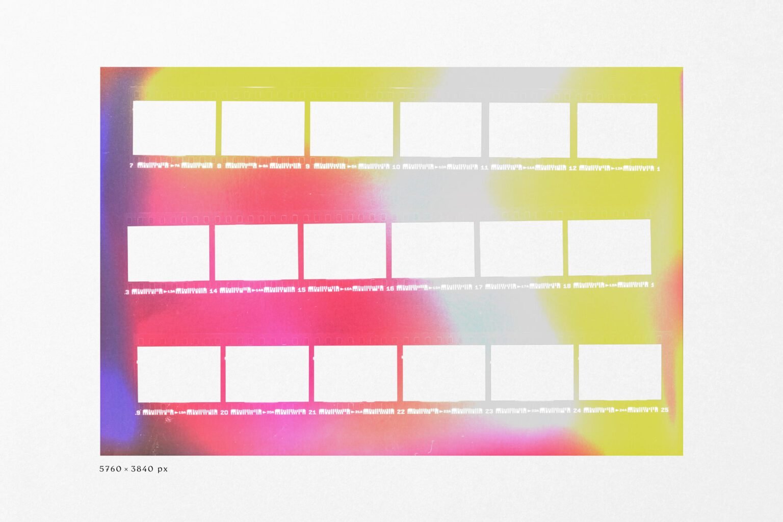 Gradient Film Frames | Elements - Sparrow and Snow