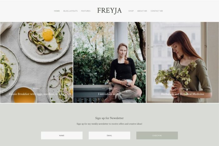 Freyja Pro WordPress Theme - Sparrow and Snow